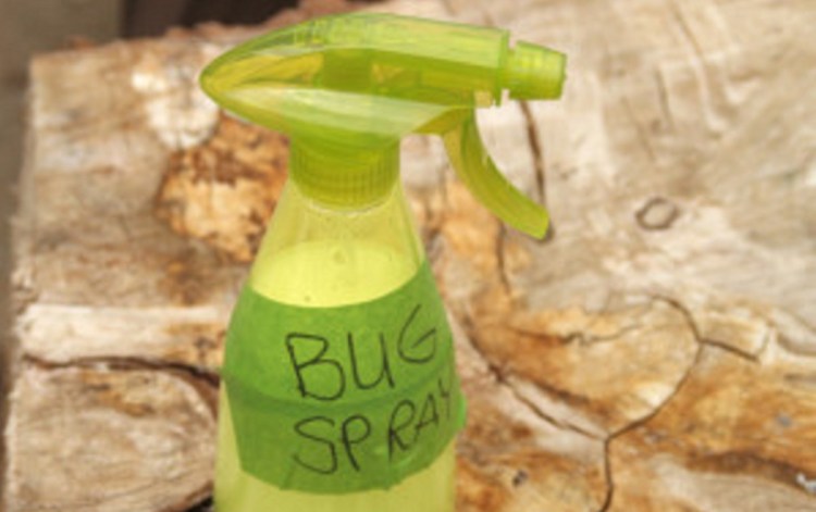 Basil Mosquito Bug Spray