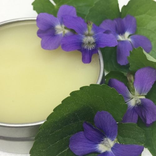 Violet Leaf Oil and Balm