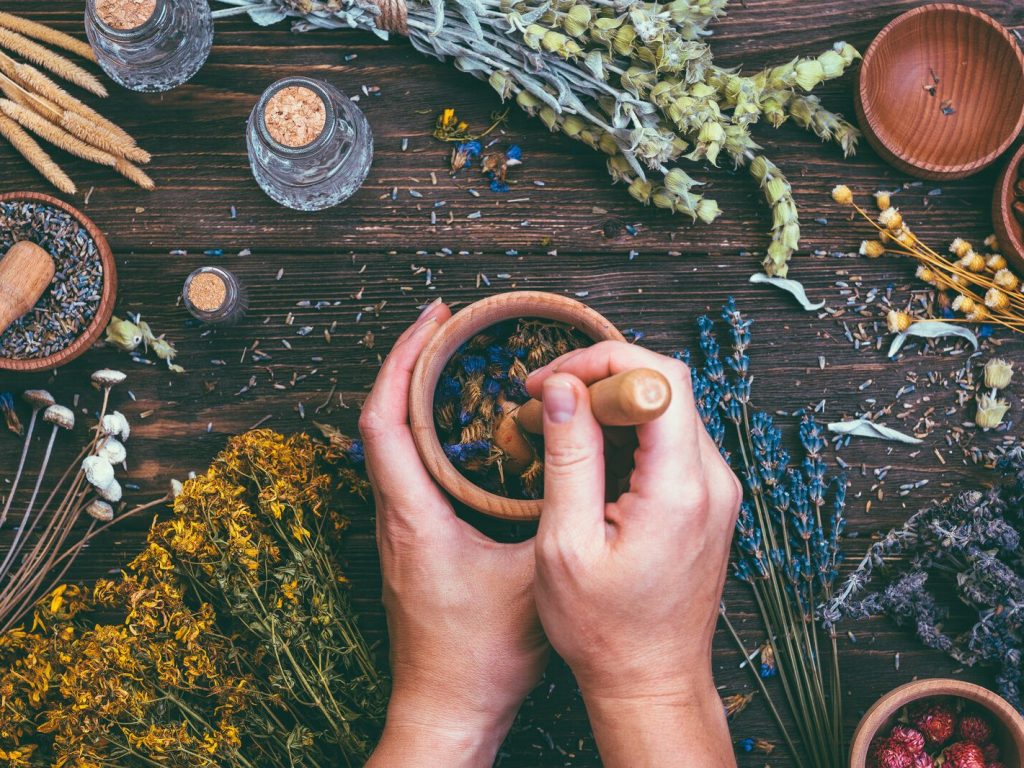 Herbs, Herbalism, Cook, Ferment, Forage, and Homestead